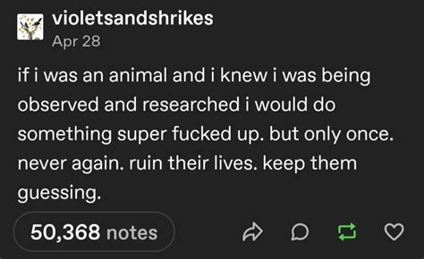 Outlier Rcuratedtumblr