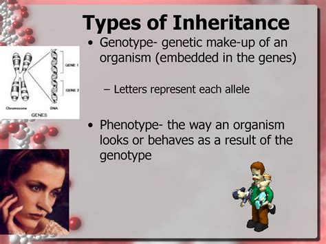 Genetics And Heredity Pages Ppt Download