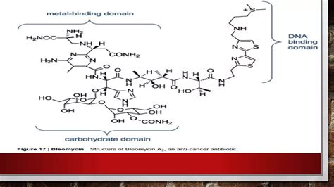 Drug Nucleic Acid Interaction Pptx