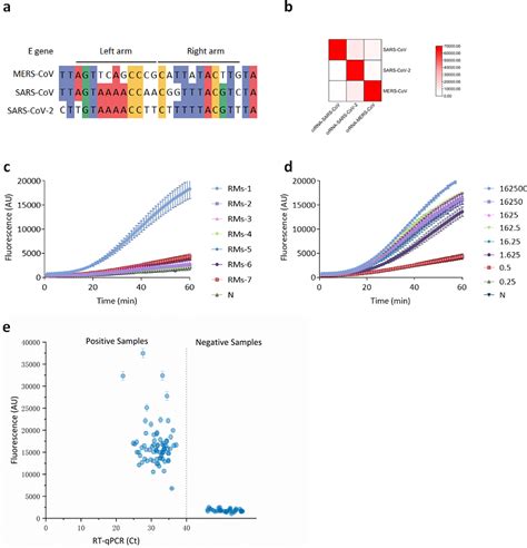 Figure 4 From An Ultra Sensitive One Pot RNA Templated DNA Ligation
