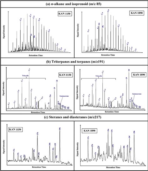 Mass Fragmentograms M Z 85 M Z 191 And M Z 217 Of Saturated