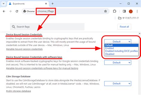 Chromes New Feature Dbsc Prevents The Exploitation Of Stolen Cookies Gigazine