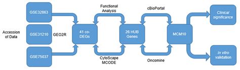 High Expression Of Mcm10 Is Predictive Of Poor Outcomes In Lung