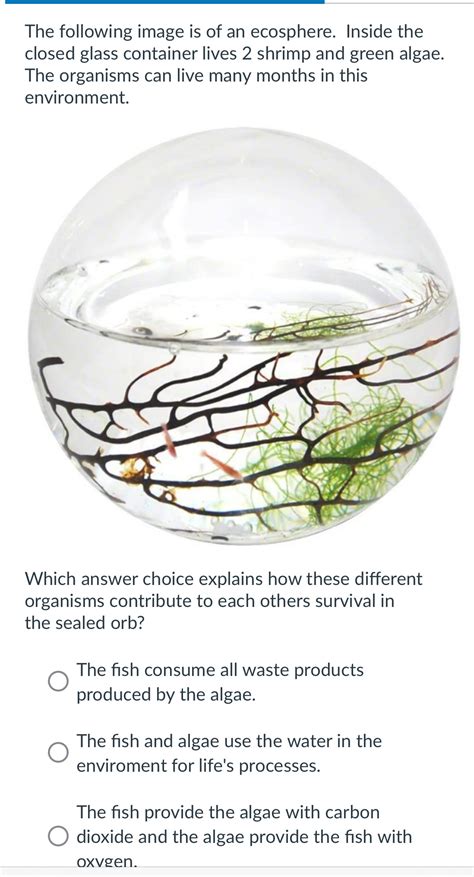 The Following Image Is Of An Ecosphere Inside The Closed Glass