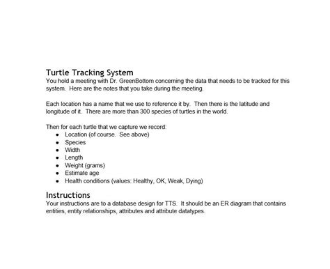 Turtle Tracking System You Hold A Meeting With Dr