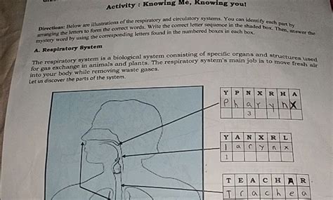 Activity Knowing Me Knowing You Directions StudyX