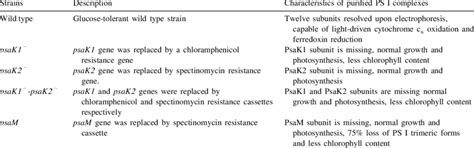 Strains Of Synechocystis Sp Pcc 6803 Used In This Study All Mutant