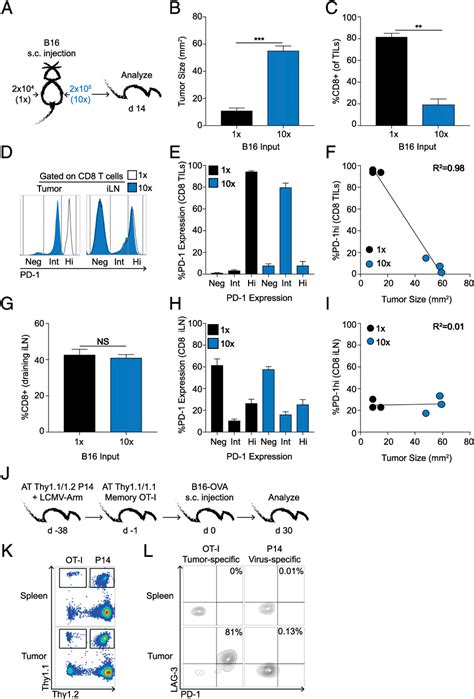 Figure 1 From Sepsis Induced State Of Immunoparalysis Is Defined By