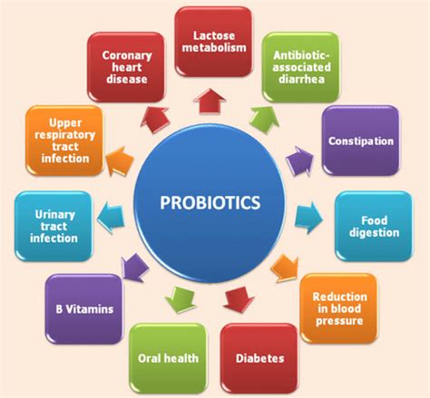 17 Probiotics The Natural Cure For Diseases Download Scientific Diagram