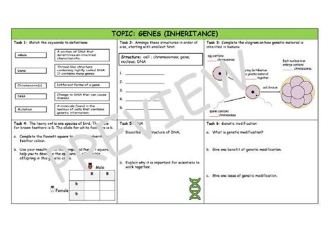 genes inheritance assessment teaching resources