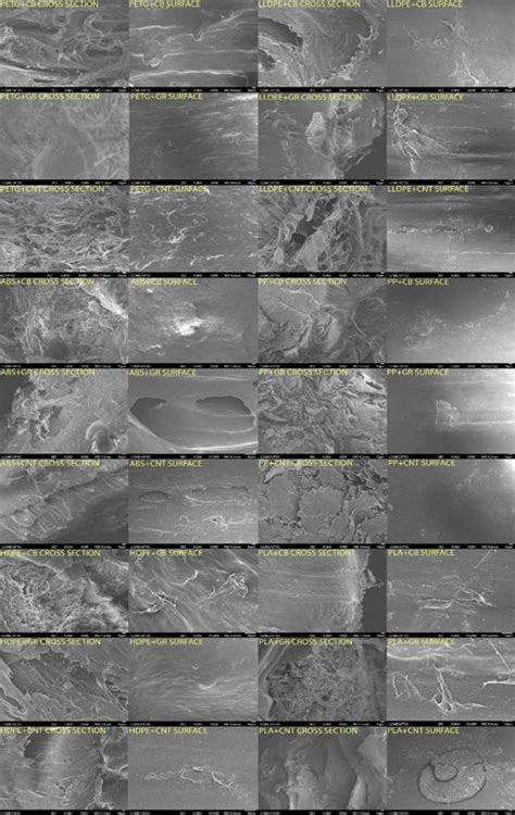 Sem Images Showing The Cross Section Fracture And Surface Morphology Of