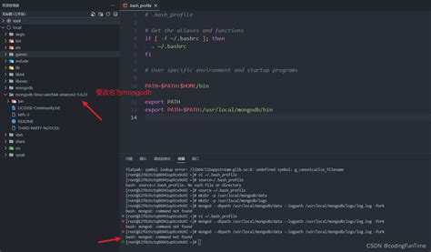 部署node js express mongodb更新中 express mongodb 上传 CSDN博客