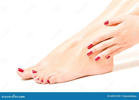 Beautiful Female Feet And Hands Stock Image Image Of Healthy Hands