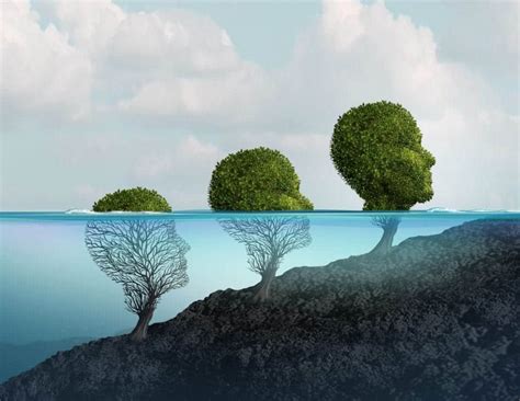 Home Crucible 4 Points