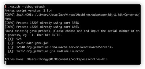 Mac As Sh Debug Attach Issue Alibaba Arthas Github