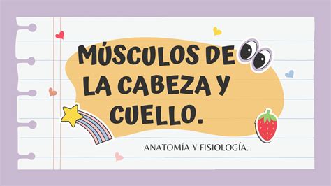 SOLUTION M Sculos De La Cabeza Y Cuello Anatomia Studypool
