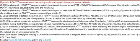 Figure 3 From A Neural Circuit For Male Sexual Behavior And Reward Semantic Scholar