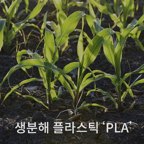 Learn 오랜 매일 매일 건강해지는 생활