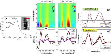A Steady State Absorbance Of The Water Dispersed Gnrs Sample Inset