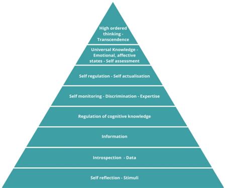 The 8 Layer Model Of Metacognitive Skills In Preschoolers Download Scientific Diagram