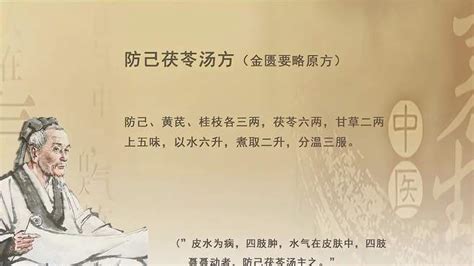 金匮要略 防己茯苓汤 倪海厦老师讲中医 传承中医文化 健康视频 搜狐视频