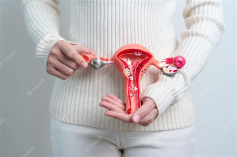 Premium Photo Woman Holding Uterus And Ovaries Model Ovarian And