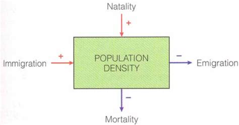 Wk 5 Exponential Growth Flashcards Quizlet