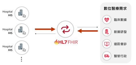 醫院 fhir 架構服務 緯謙科技