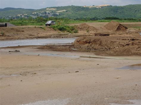 How To Prepare A Tree Mitigation Bank