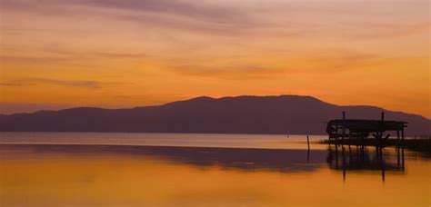 「trapiche」の写真素材 677件の無料イラスト画像 Adobe Stock