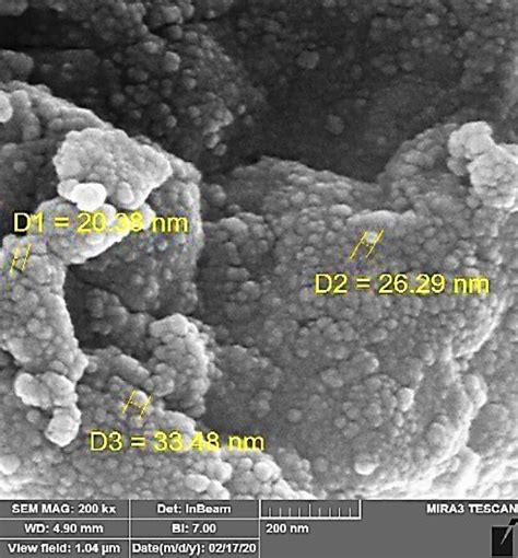 The Sem Contains The Size Of Fe3o4 Cptmo Phenylalanine Ni Download