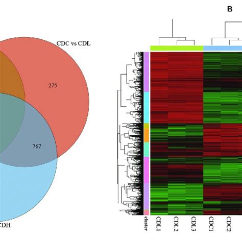 C Difficile Transcriptome In Different Groups A Venn Diagram Download Scientific Diagram
