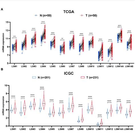 Differential Expression Analysis Of LSM Family Members A LSM