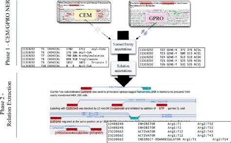 figure 2 from overview of drugprot task at biocreative vii data and methods for large scale