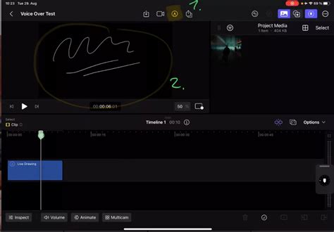 How To Use Fcp Live Drawing Animation In Davinci Resolve For Ipad