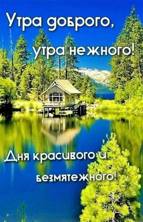 Доброе утро в 2024 г Веселые картинки Доброе утро Счастливые картинки