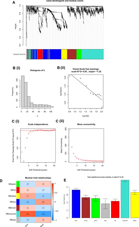 Screening Biomarkers A Weighted Gene Co Expression Network Analysis Download Scientific