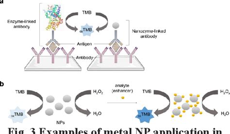 Figure 3 From Nanoparticle Based Electrochemical Sensing Semantic Scholar