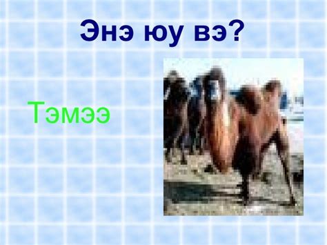 байгалийн дуу чимээ