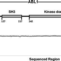 BCR ABL1 PCR Strategy A Schematic Of The Strategy For Nested