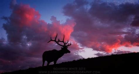 현존하는 작가 중 뛰어난 풍경사진을 찍는 사진작가 10명 화이트 사진 사진작가 예술사진
