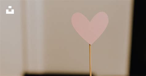 갈색 스틱이 달린 핑크 하트 사진 Unsplash의 무료 심장 이미지