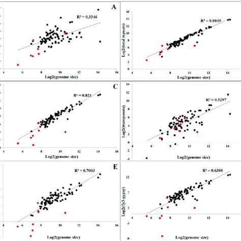 Correlation Analysis Between Genome Size And Gene Numbers Or Quantities