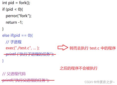 进程（六）—— 进程程序替换（exec函数族）execvp Csdn博客