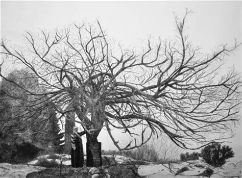 Samah Shihadi Artist Overview Mutualart