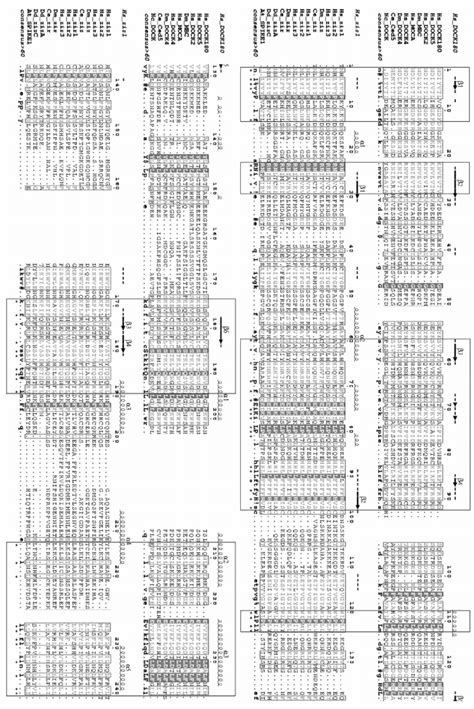 Sequence Alignment Of Czh1 Domains Download Scientific Diagram