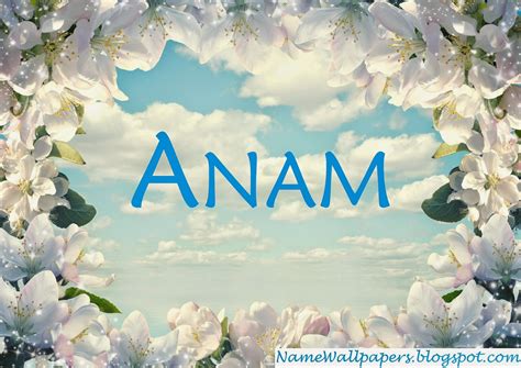 Anam Name Wallpapers Anam Name Wallpaper Urdu Name Meaning Name