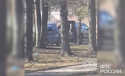 Таможенники пресекли попытку провезти в Россию гашиш на 350 млн рублей