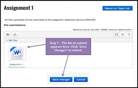 Lms Submitting Assignments